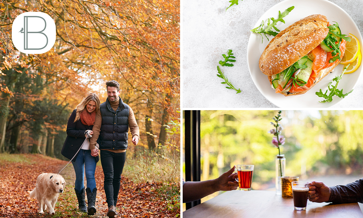 Bergse Bossen, Wandelarrangement + drankje + gebak + 2-gangenlunch ...