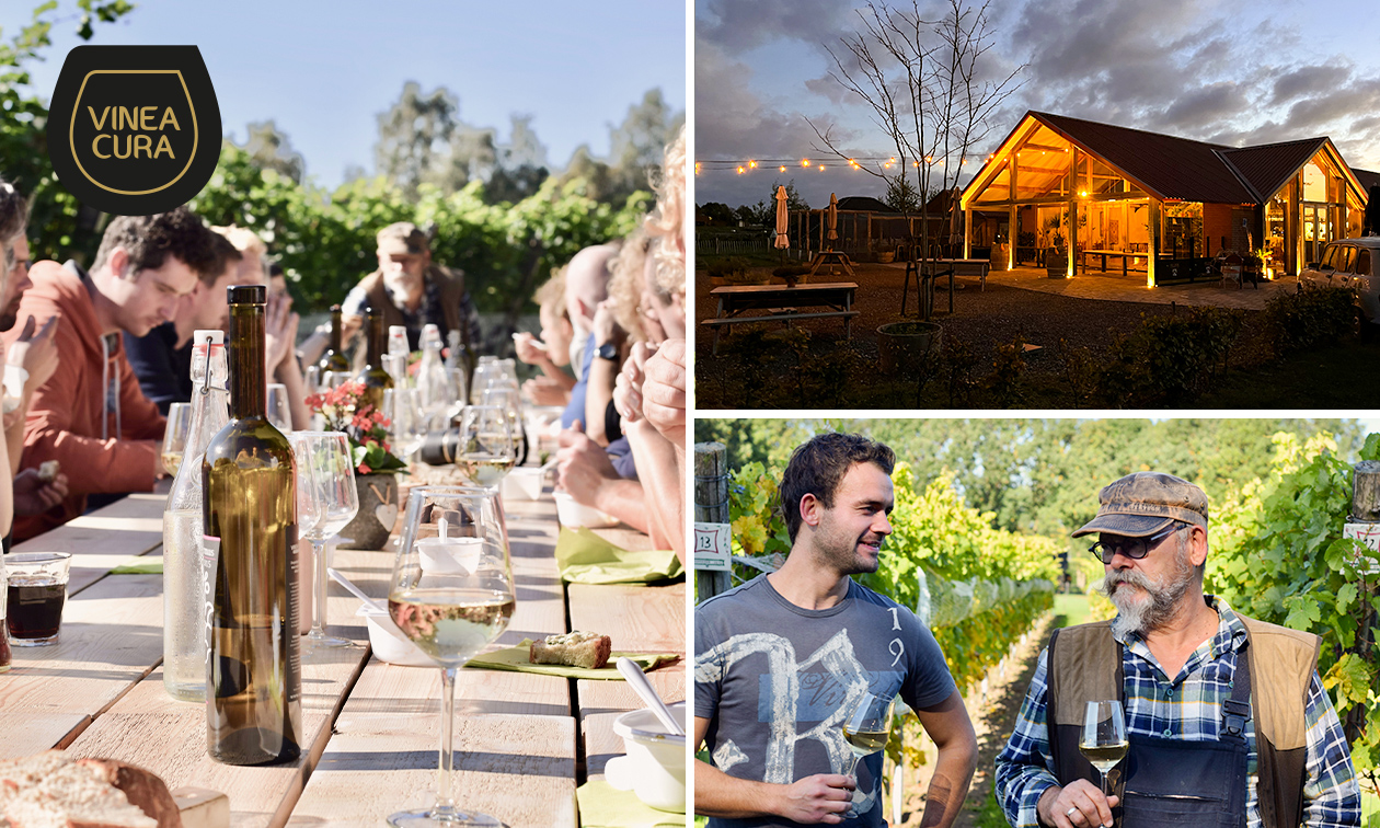 Vinea Cura, Picknickmand naar keuze + fles wijn bij Vinea Cura Spare 34 ...