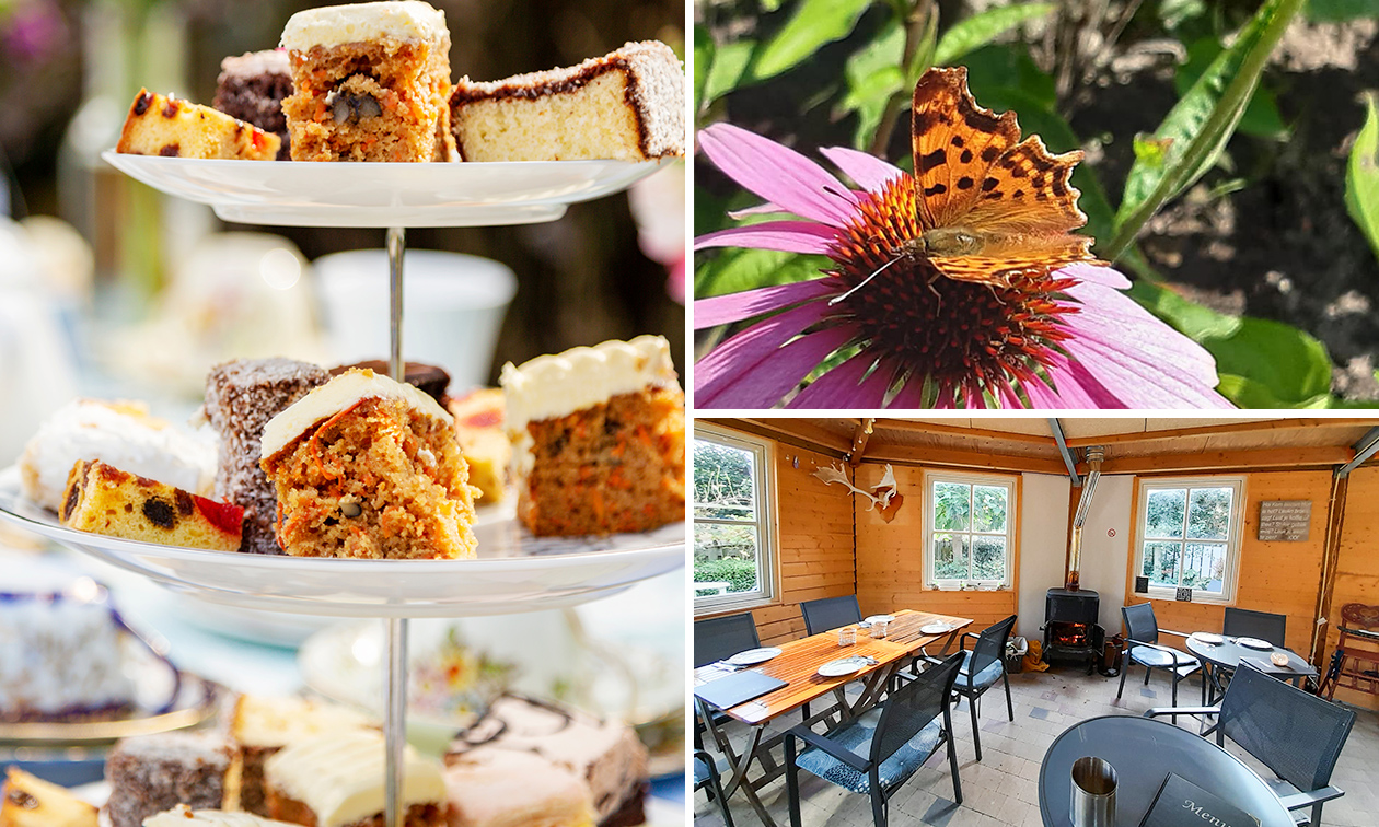 Jorine's Theetuin, Luxe high tea + verse jus in theetuin/-huis bij ...