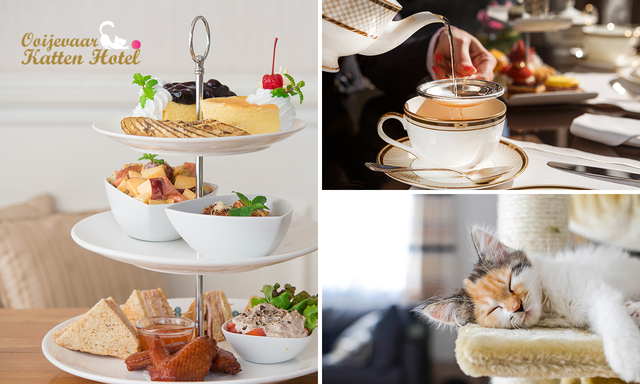 Kattenhotel Ooijevaar, High tea (2 uur) incl. onbeperkt thee bij ...