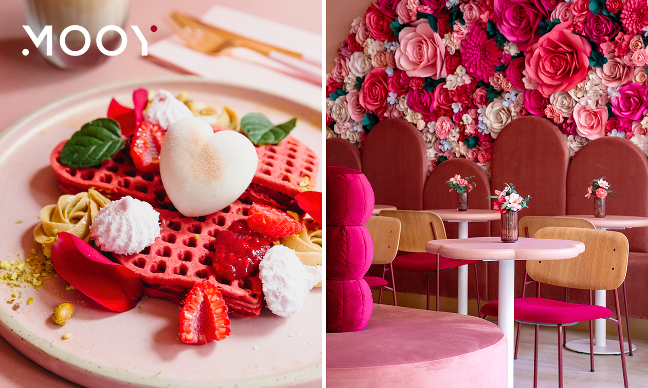 MOOY, Lunchgerecht naar keuze in hartje Antwerpen bespaar 37% in ...