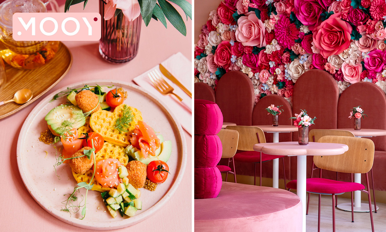 MOOY, Lunchgerecht naar keuze in hartje Antwerpen bespaar 37% in ...