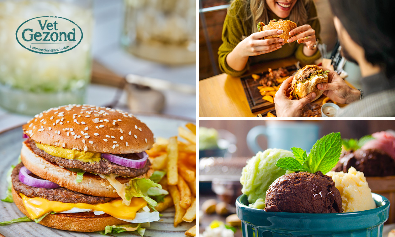 Vet Gezond, 2-gangen keuzelunch bij Vet Gezond : épargnez 51% à Leiden ...